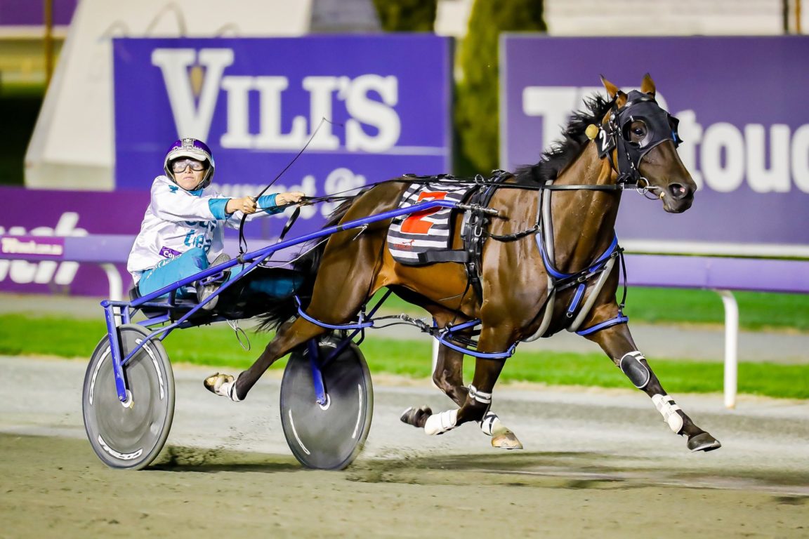 Deni Roberts Archives - Gloucester Park Harness Racing